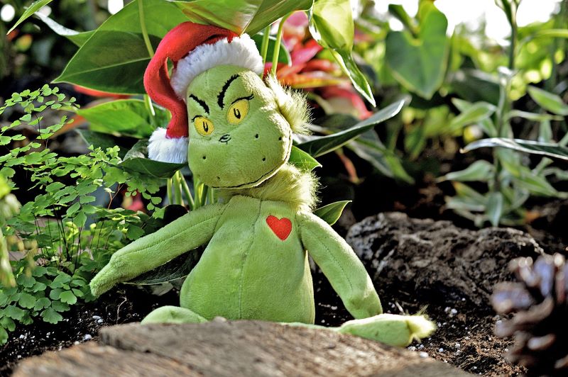 Don’t Let the Grinches Steal Your Christmas – OpsLens