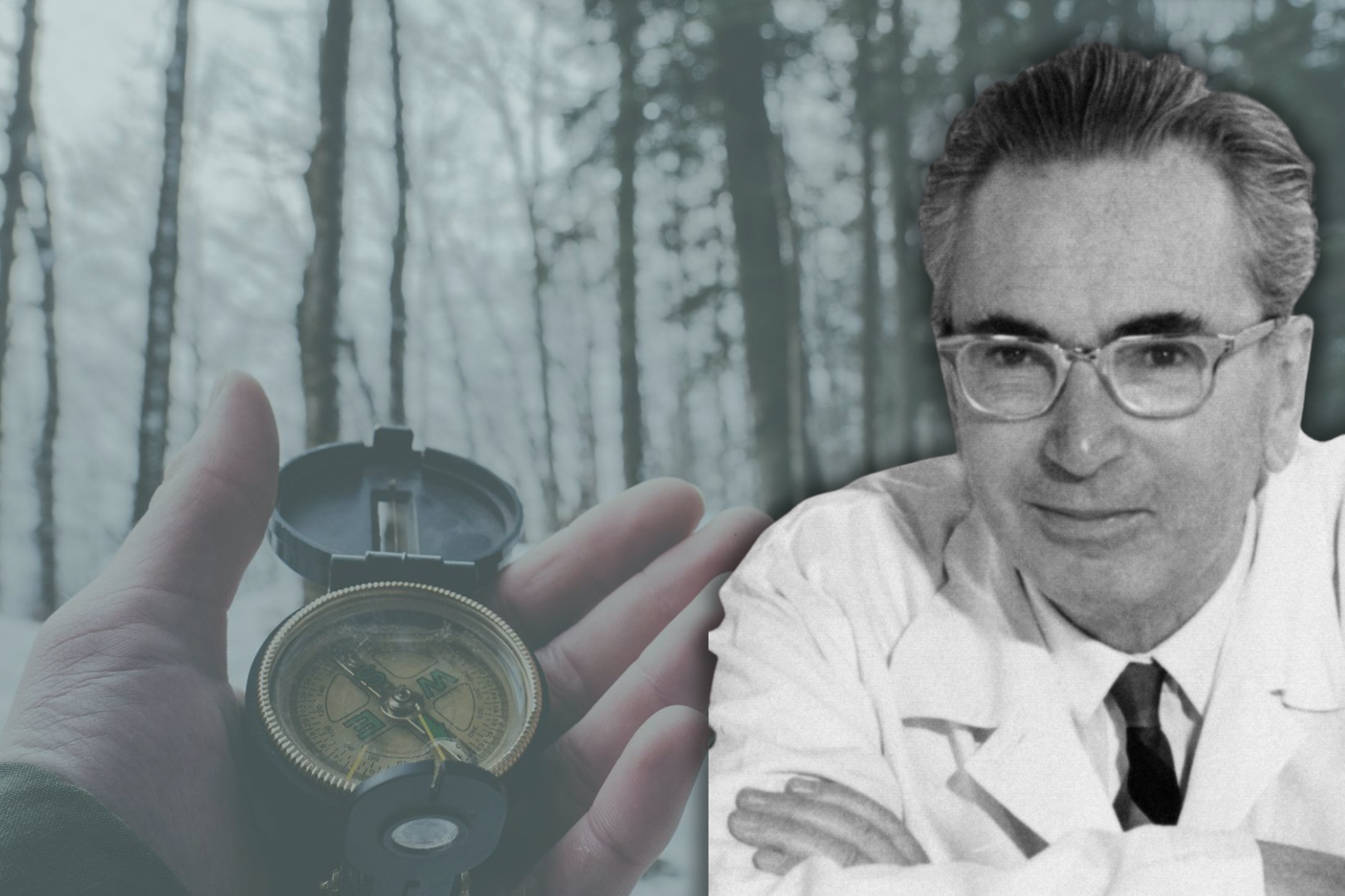 Viktor Frankl and the Search for Meaning – OpsLens