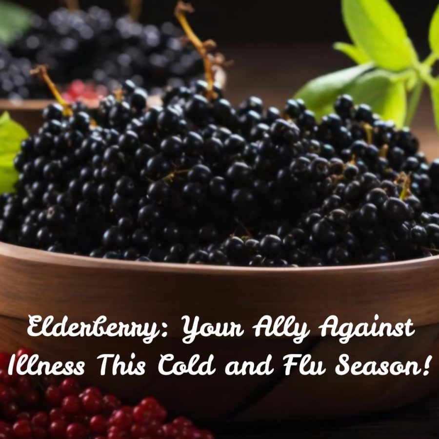 Elderberry: Your Ally Against Illness This Cold and Flu Season! – OpsLens