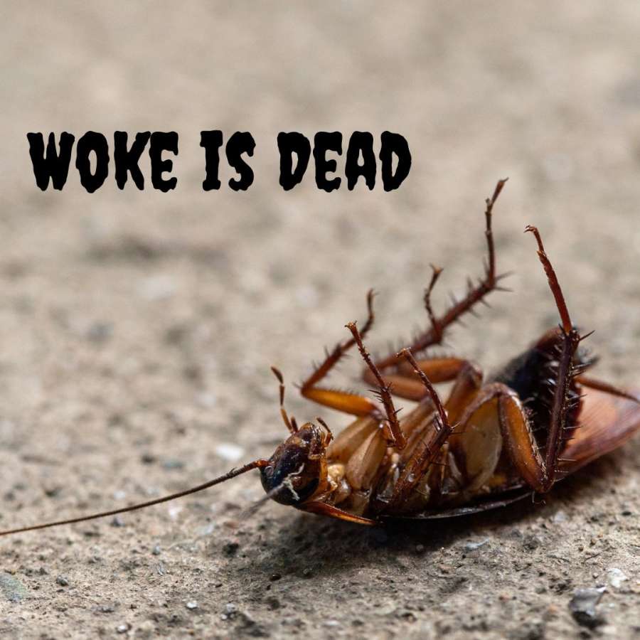 Woke is Dead – OpsLens